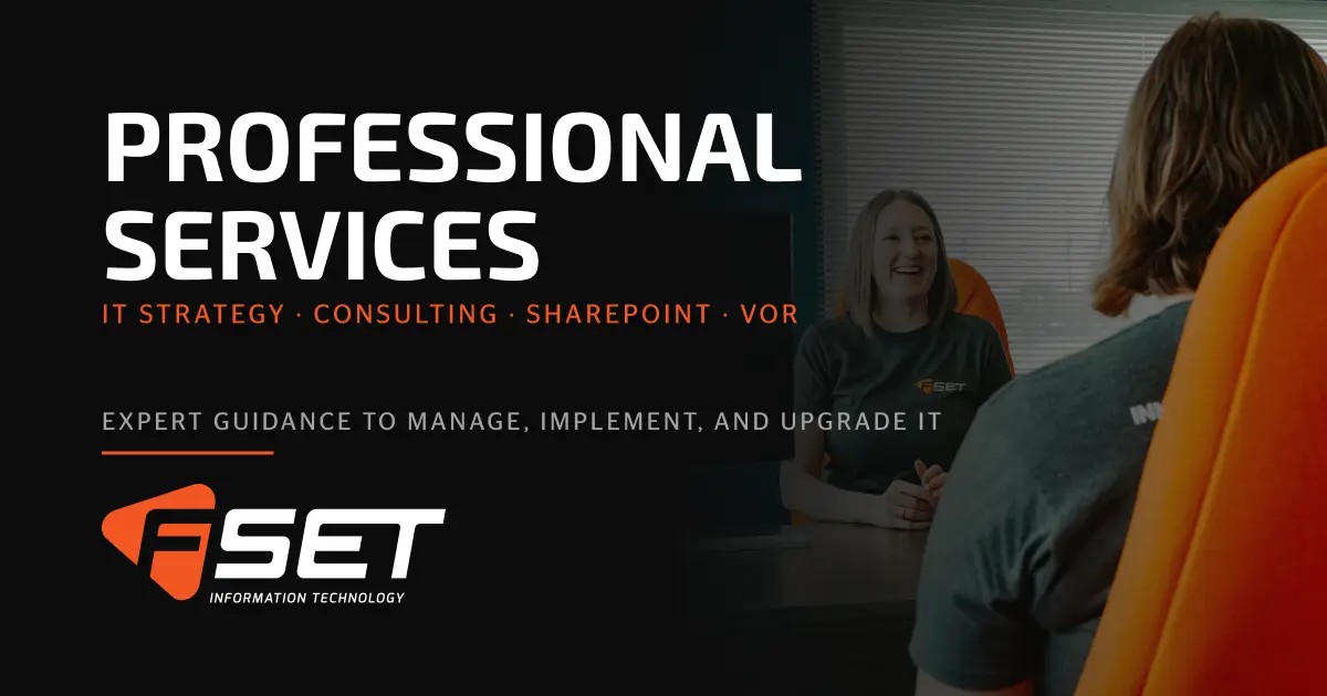 Professional Services | FSET Inc